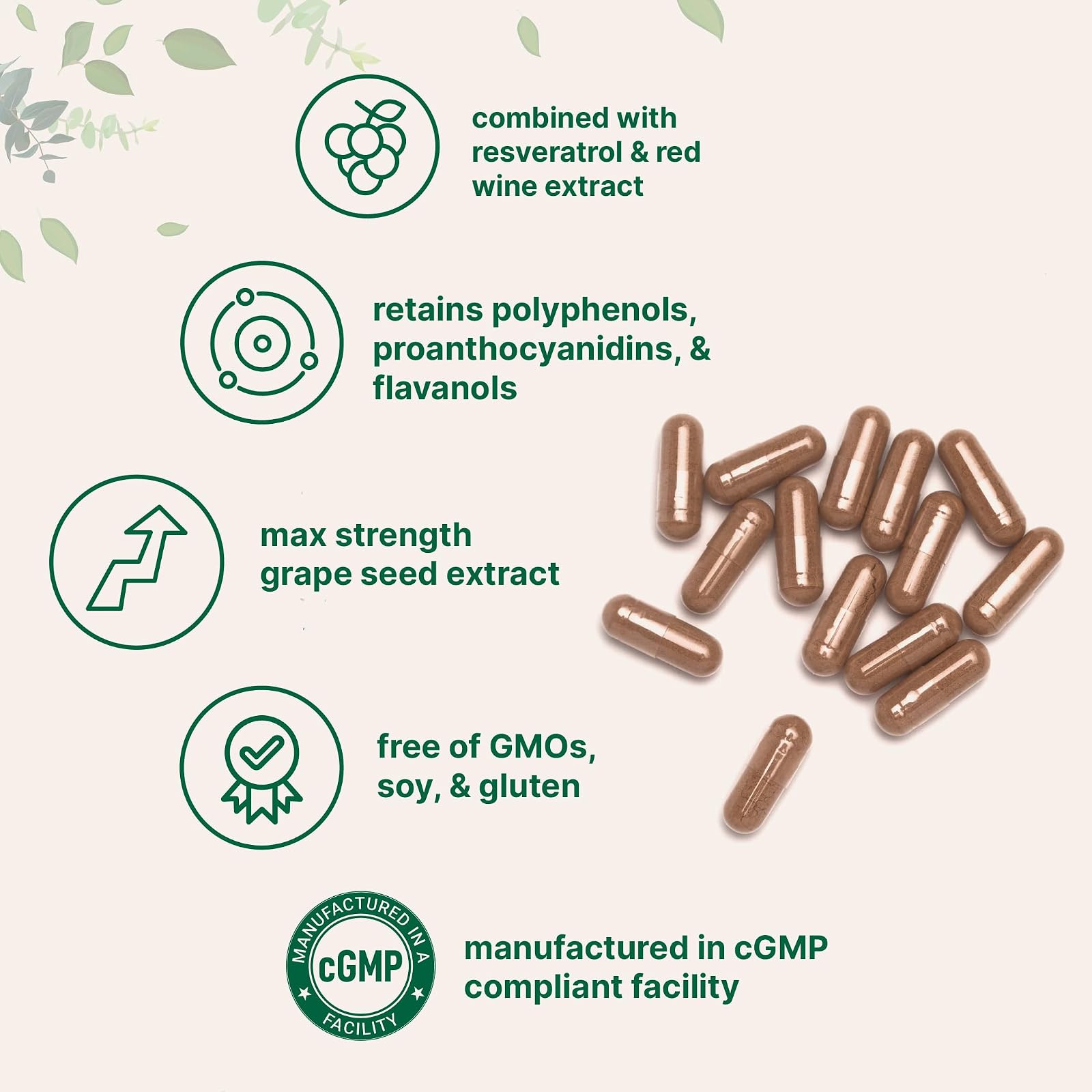 antioxidant-rich grape seed supplement