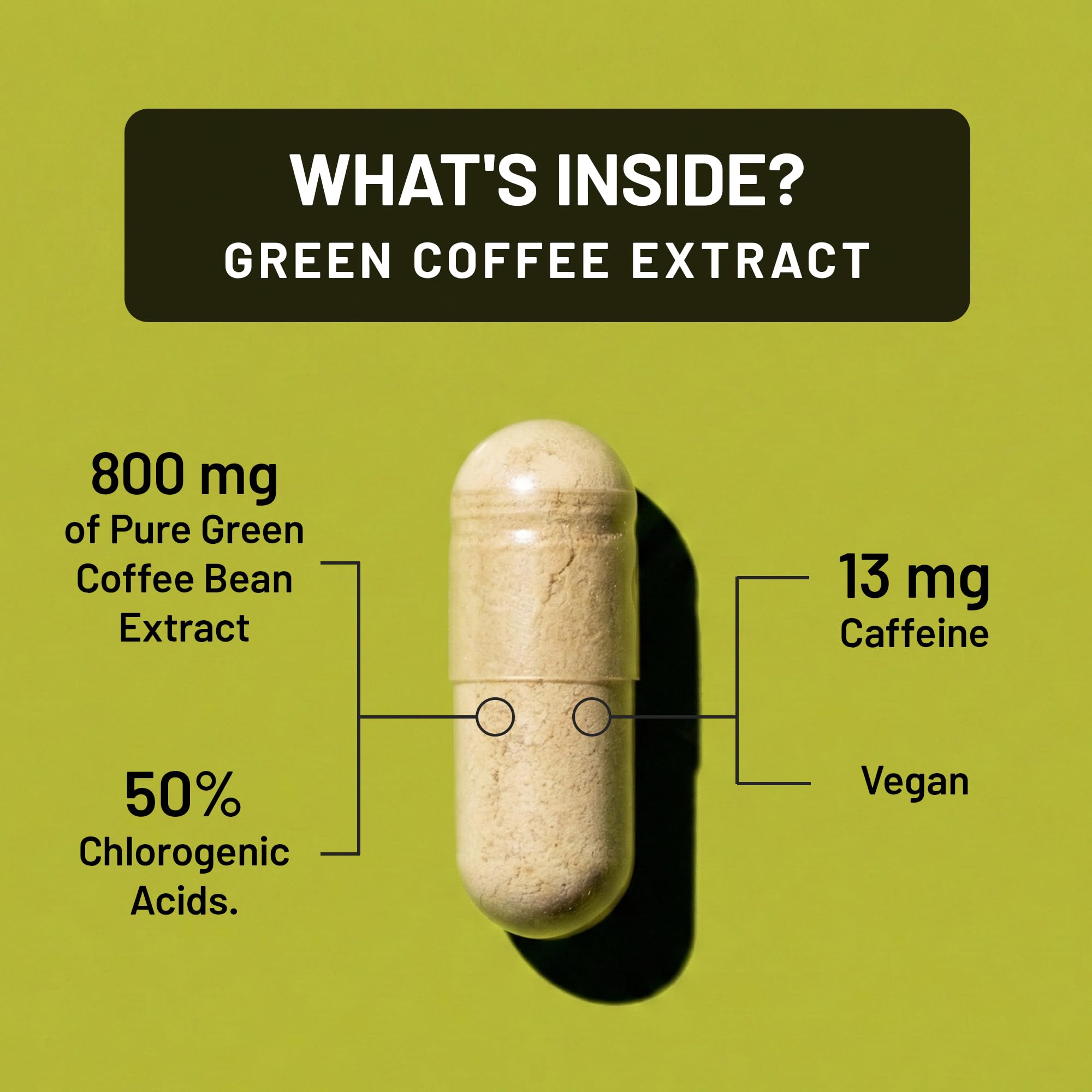 antioxidant-rich green coffee bean extract