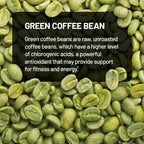 antioxidant-rich green coffee extract