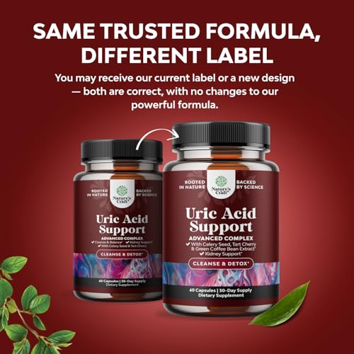 antioxidant rich green coffee extract