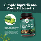 Antioxidant-rich green coffee extract