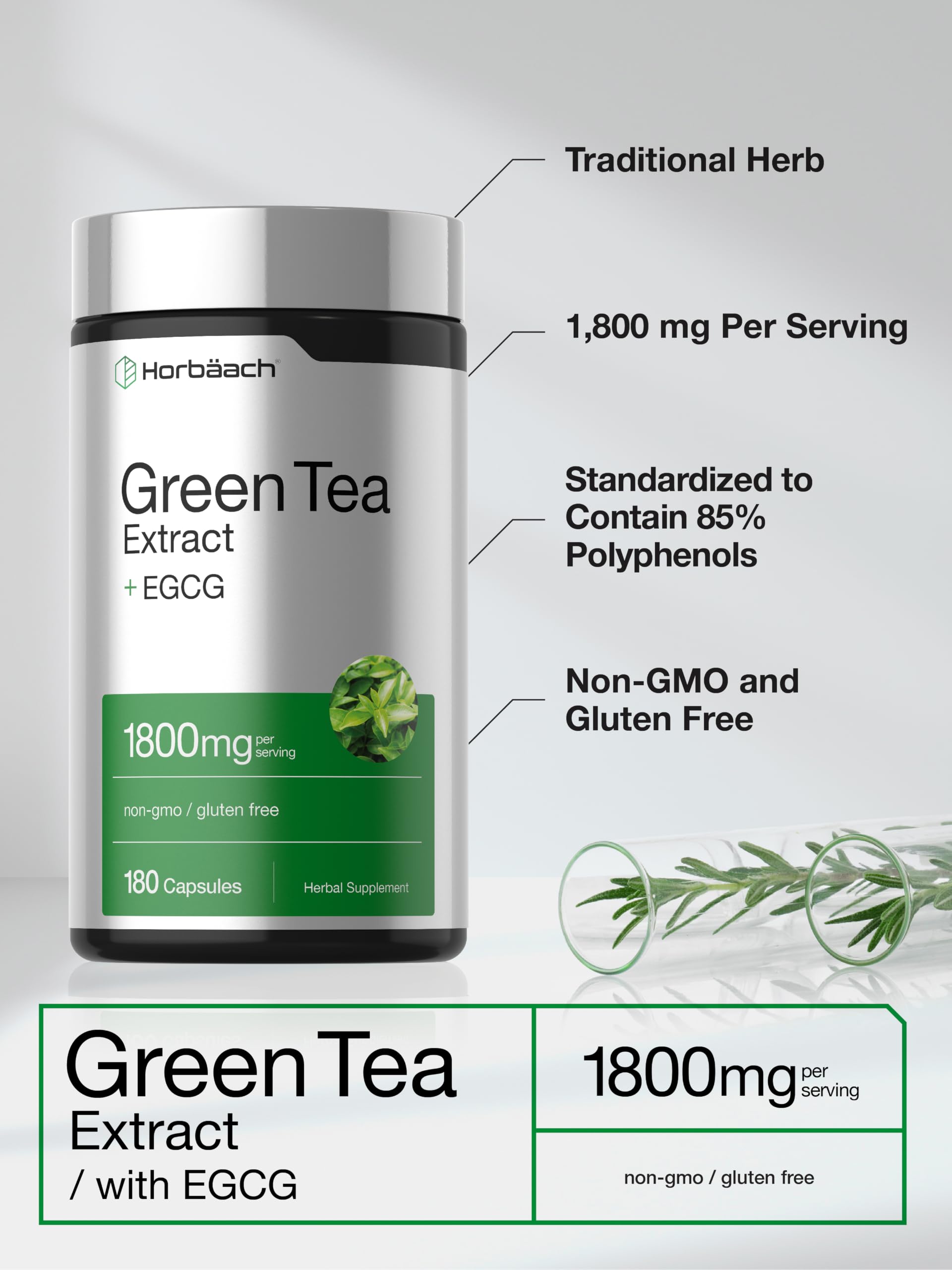 antioxidant rich green tea capsules