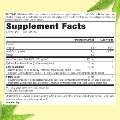 antioxidant-rich green tea capsules