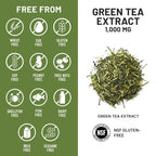 Antioxidant-rich green tea extract