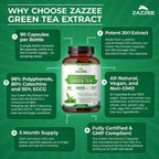 antioxidant rich green tea extract