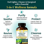 antioxidant rich green tea extract