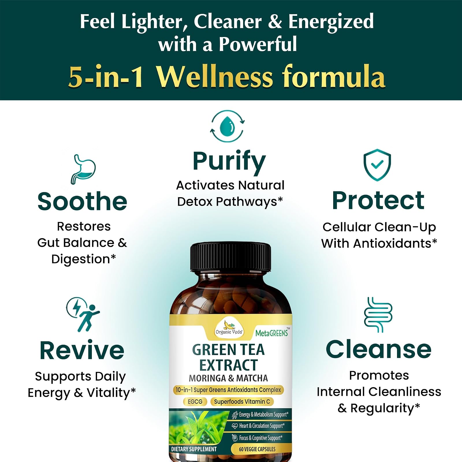 antioxidant rich green tea extract
