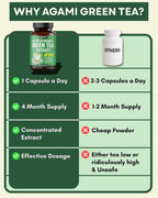antioxidant rich green tea extract