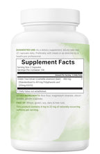 antioxidant rich green tea extract