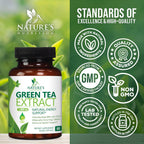 Antioxidant-rich Green Tea extract
