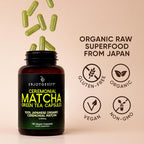 antioxidant-rich green tea supplement