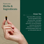 antioxidant-rich green tea