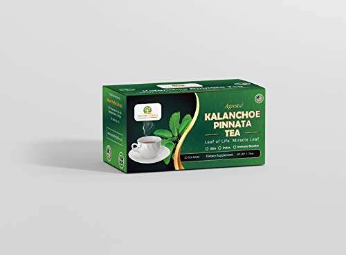 antioxidant-rich herbal tea benefits