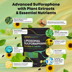 antioxidant-rich liposomal gummies