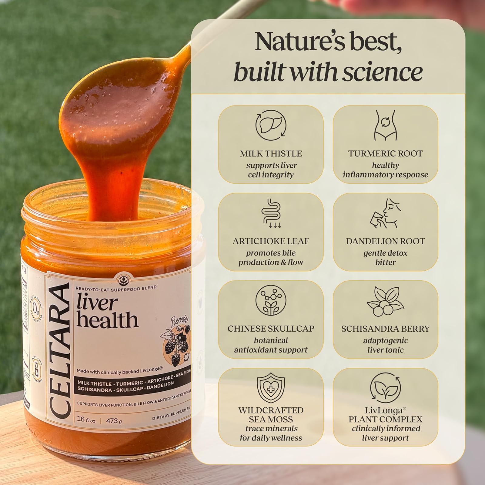 antioxidant-rich liver health blend