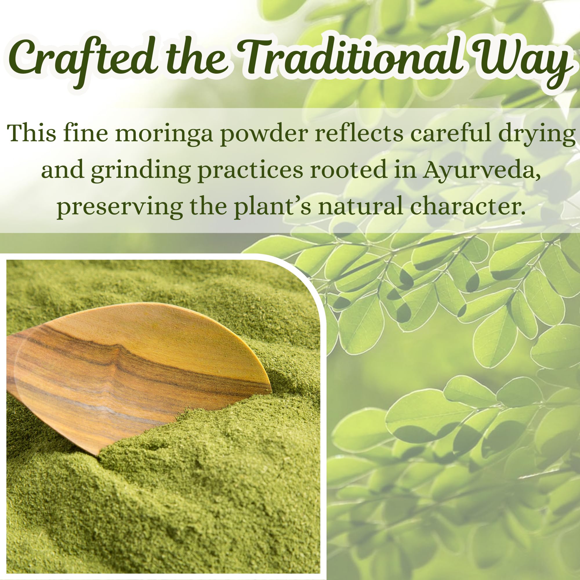 antioxidant-rich moringa supplement for health