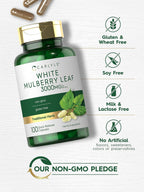 antioxidant-rich mulberry leaf extract