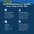 antioxidant-rich multivitamins for vitality