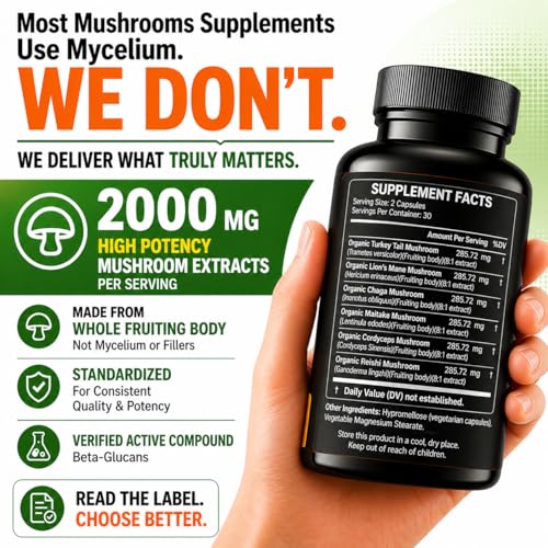 antioxidant-rich mushroom extract