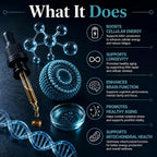 Antioxidant-rich NAD+ supplement