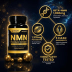 Antioxidant-rich NMN supplement benefits