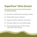 antioxidant-rich Olive Extract supplement