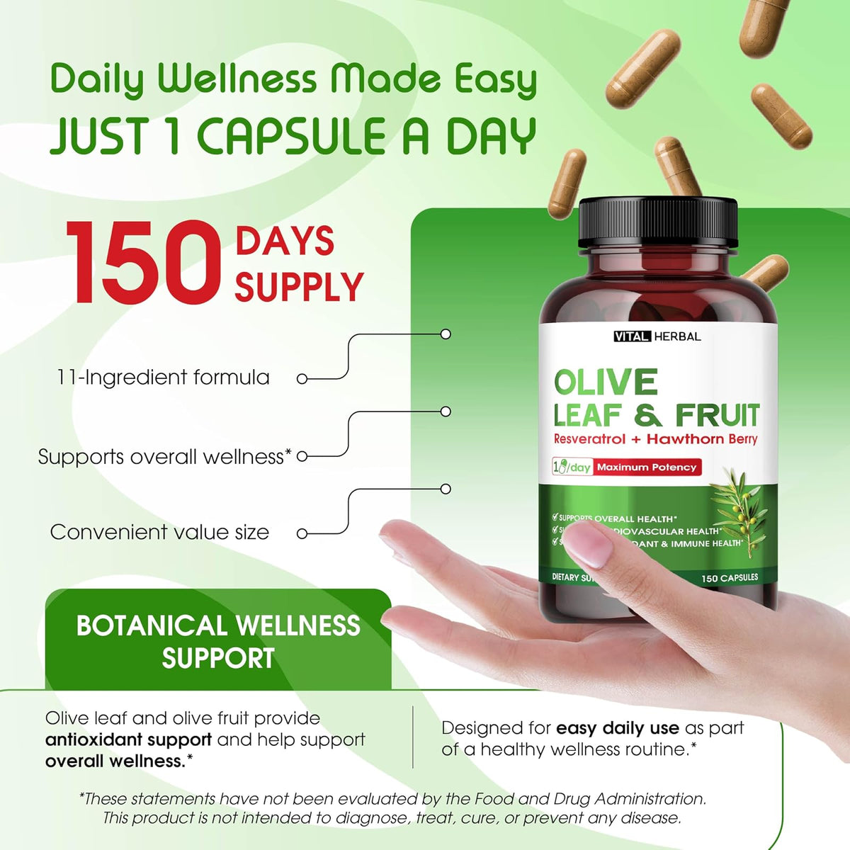 antioxidant-rich olive fruit capsules