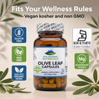antioxidant rich olive leaf capsules