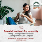 antioxidant-rich olive leaf extract