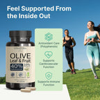antioxidant-rich olive leaf extract