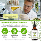 antioxidant-rich olive leaf extract