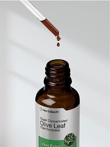 antioxidant-rich olive leaf extract