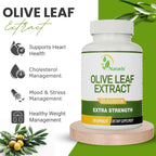 antioxidant-rich olive leaf extract