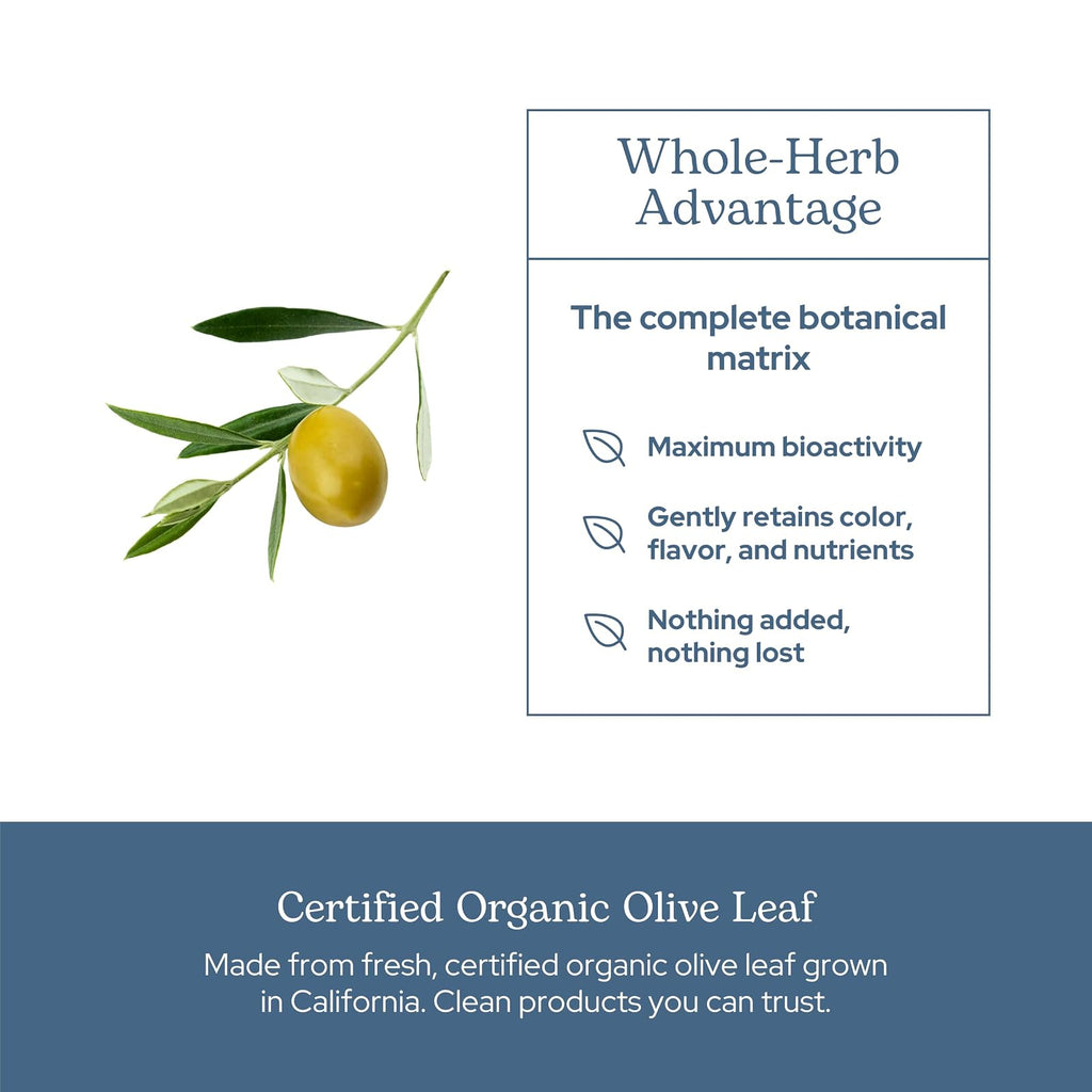antioxidant-rich olive leaf supplement