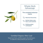 antioxidant-rich olive leaf supplement