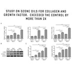 antioxidant-rich olive oil for immunity