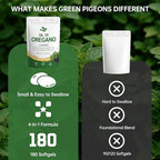 antioxidant-rich oregano oil capsules
