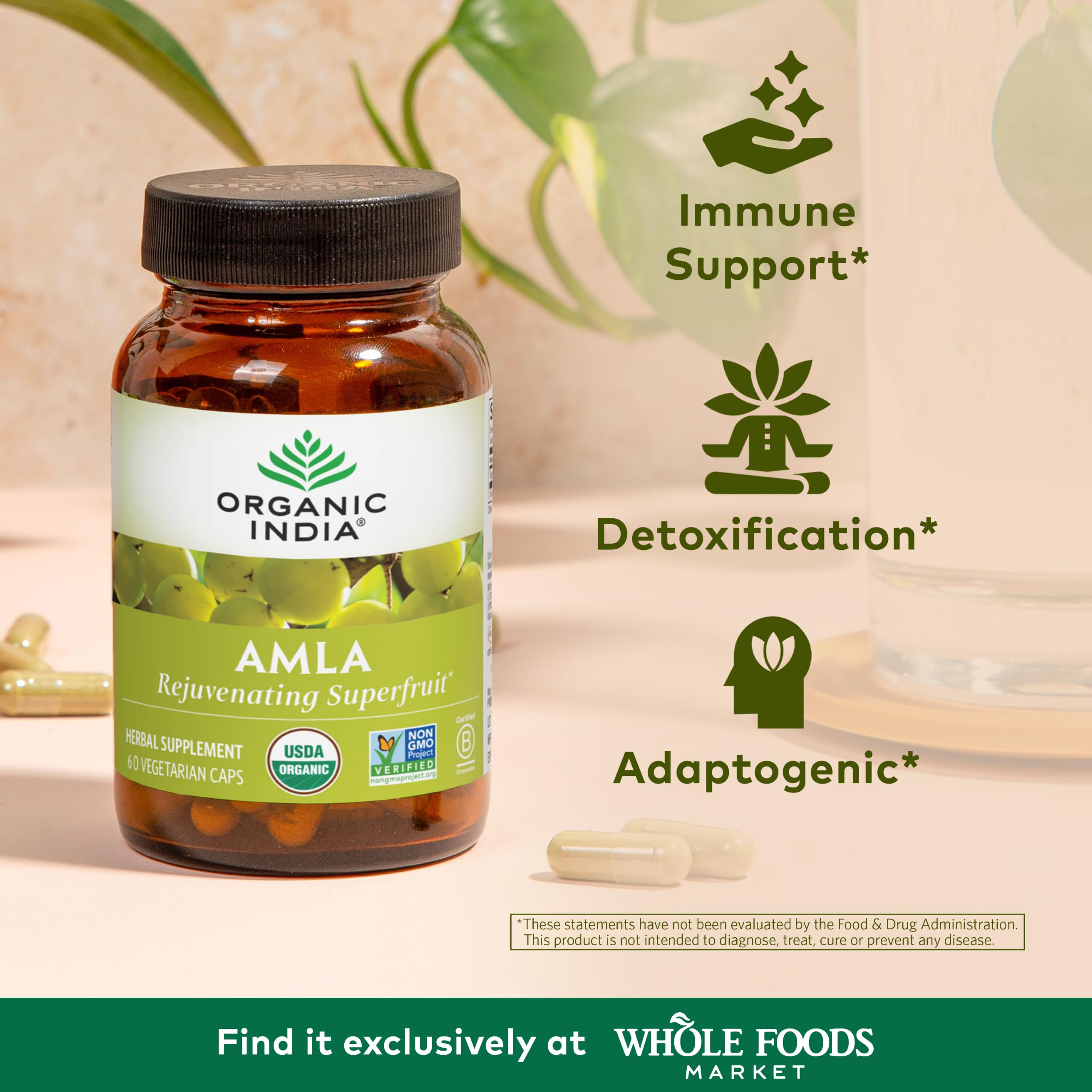 antioxidant-rich organic amla supplement