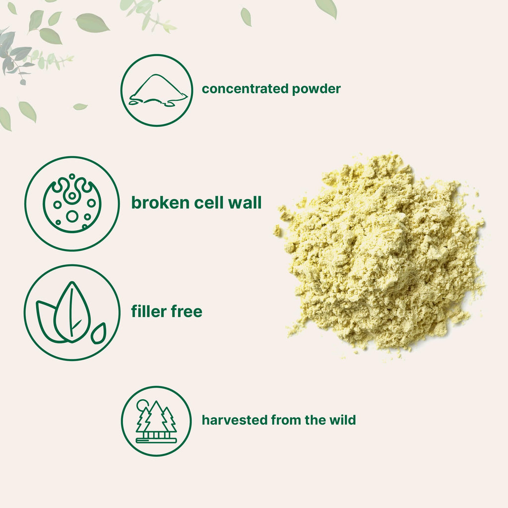 antioxidant rich pine pollen powder