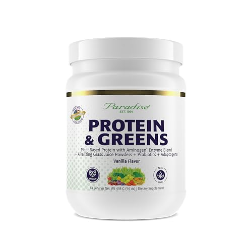 antioxidant-rich protein powder for smoothies