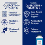 antioxidant rich quercetin vitamin C