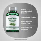 antioxidant-rich rosemary capsules