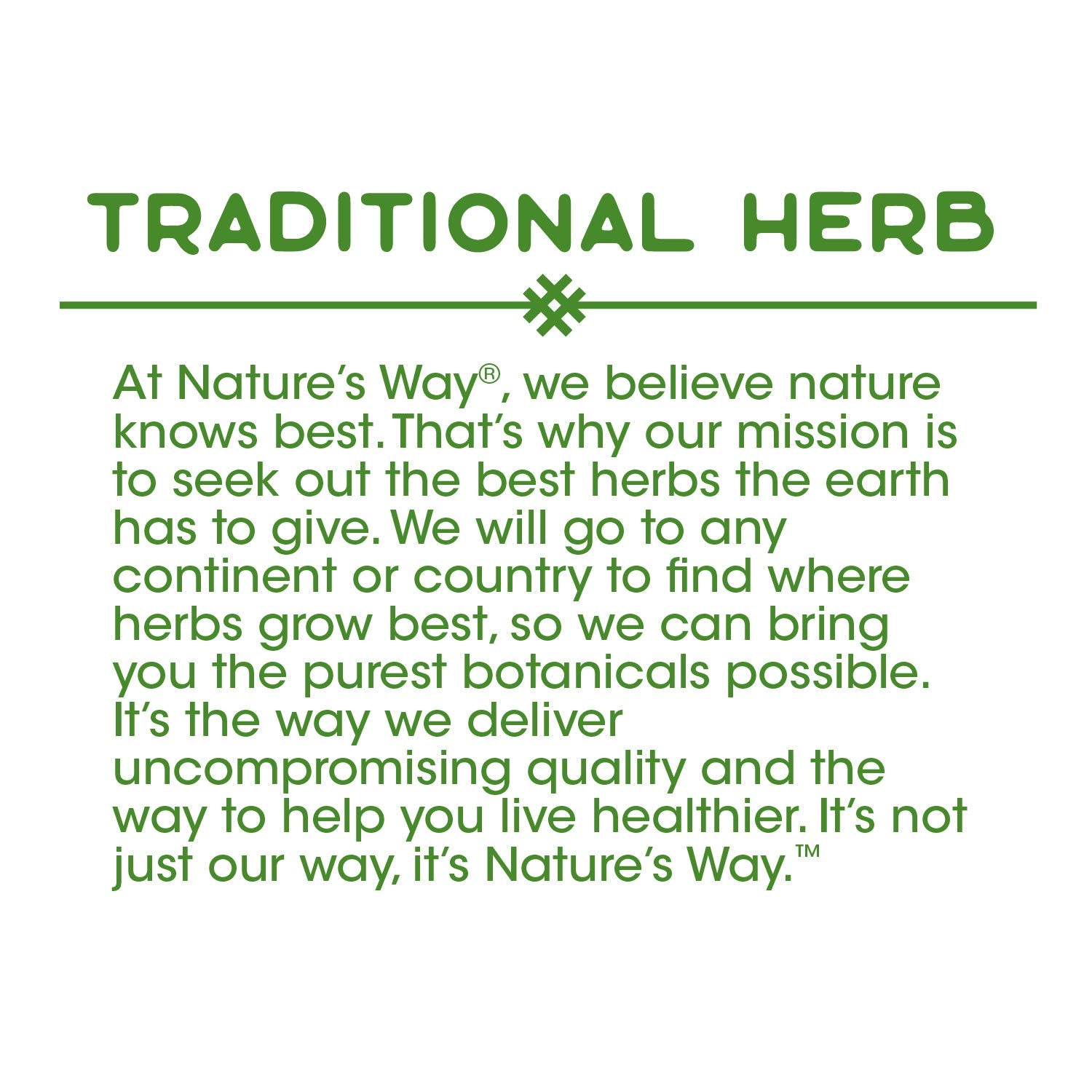 antioxidant-rich rosemary extract