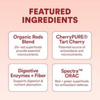antioxidant-rich superfood powder blend