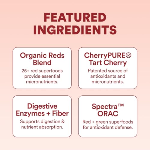 antioxidant-rich superfood powder blend