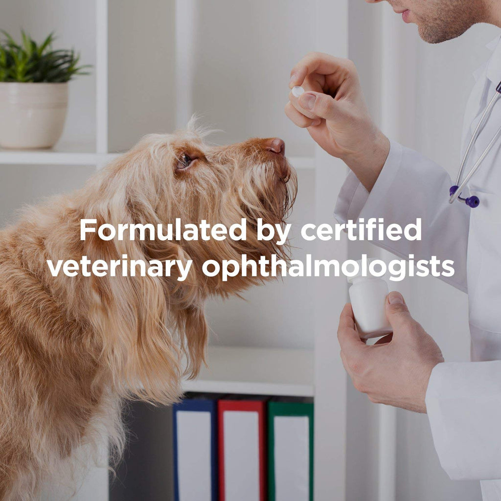 antioxidant-rich supplements for dogs