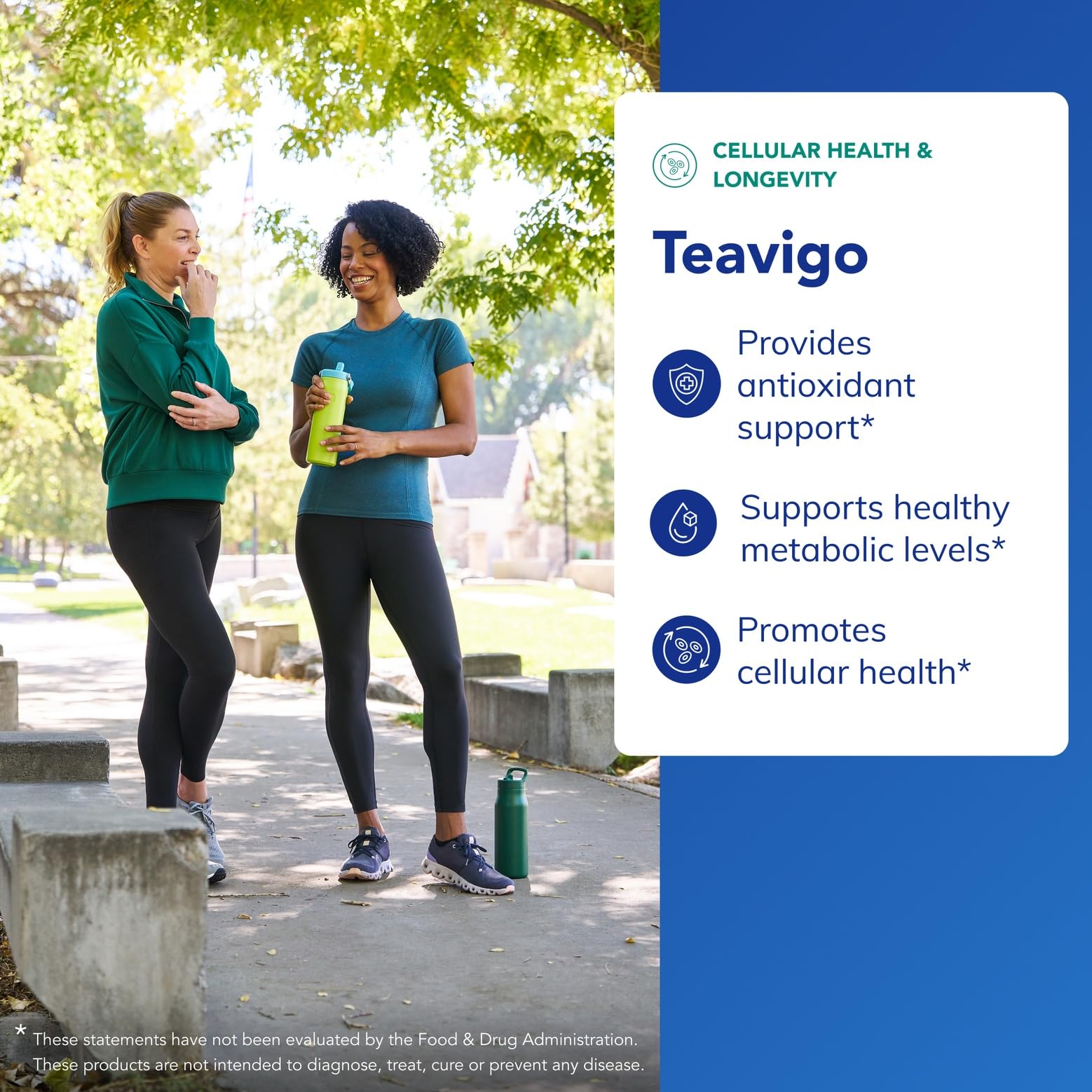 antioxidant-rich Teavigo supplement