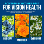 antioxidant-rich vision clarity formula