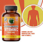 antioxidant rich vitamin C supplement