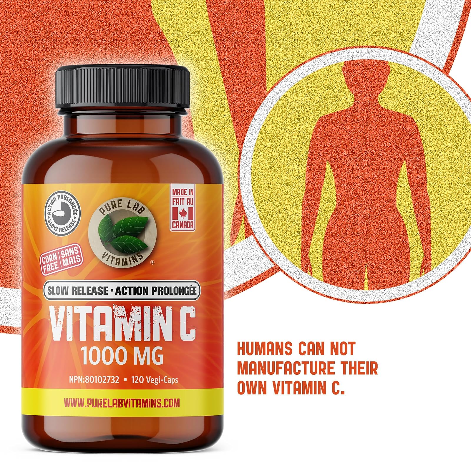 antioxidant rich vitamin C supplement